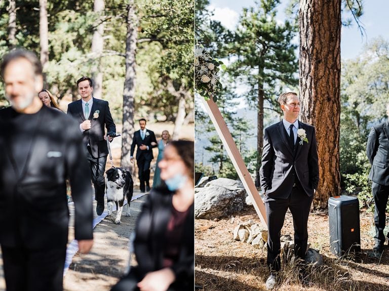 Idyllwild Spring Mountaintop Wedding - wildirishrosephotography